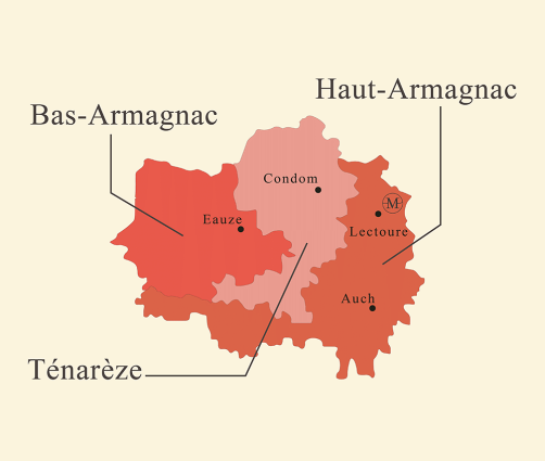 Armagnacs - Arton, Haut Armagnac & Vins de Gascogne